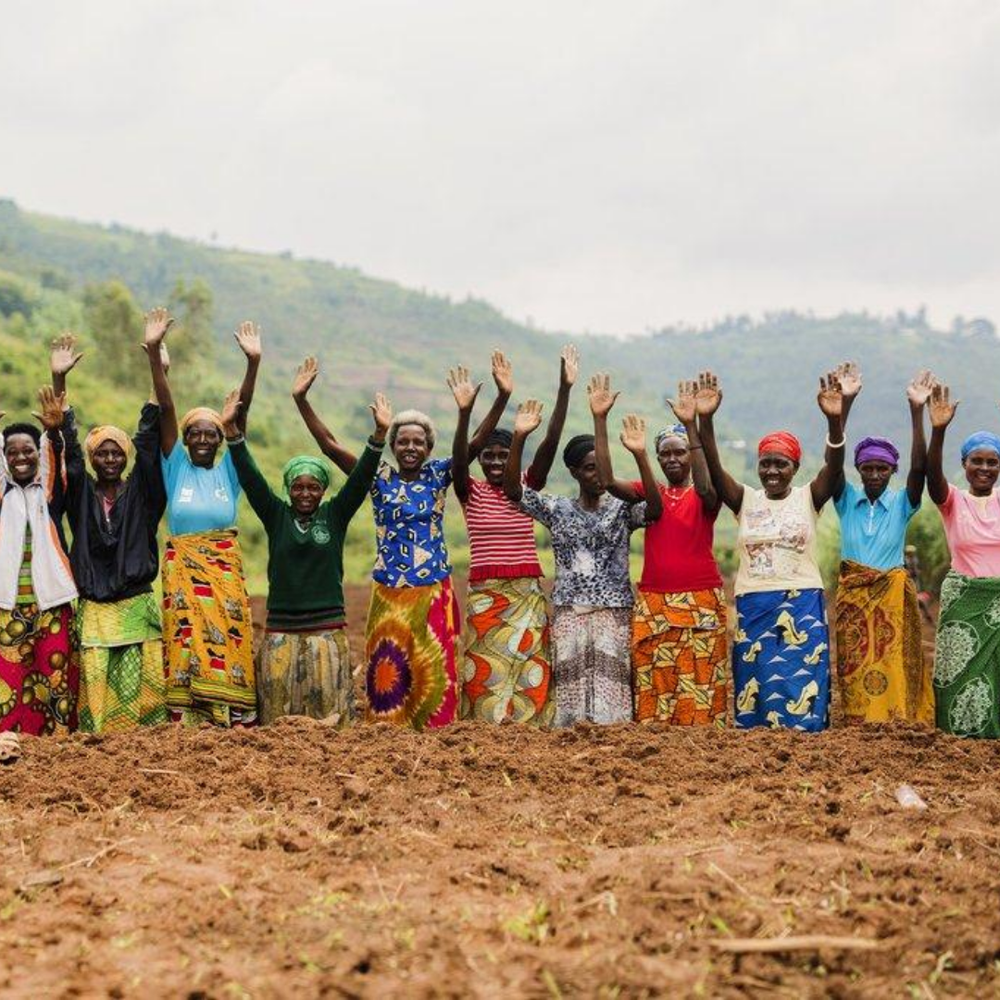 What is Women Empowerment and how can we empower each other ...